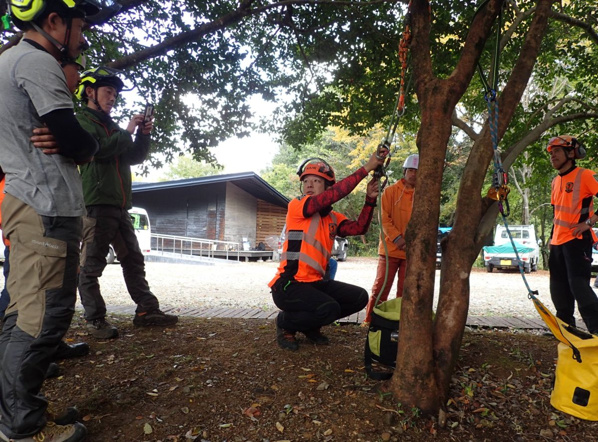 樹上のレスキュー TARS-1（Tree Aerial Rescue ＆ Safety）講習 – モリノス