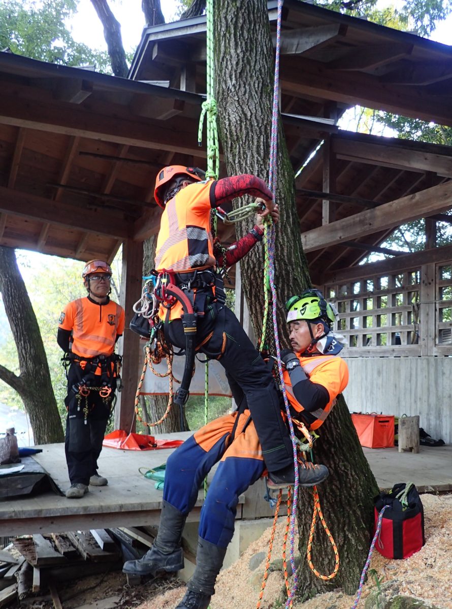 樹上のレスキュー TARS-1（Tree Aerial Rescue ＆ Safety）講習 – モリノス