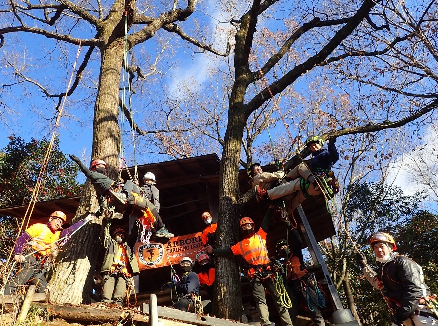 レスキュー講座 Tree Aerial Rescue and Safety (TARS) Courses Level 1 – モリノス