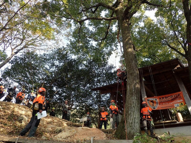 TARS-1 ：Tree Aerial Rescue and Safety level-1 : 川尻秀樹 JIRI