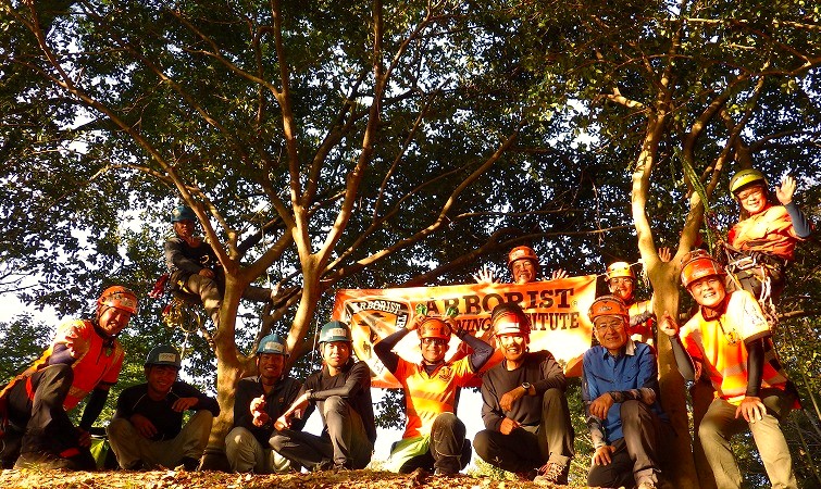 アーボリストへの道 Basic Arborist Training-3A – モリノス