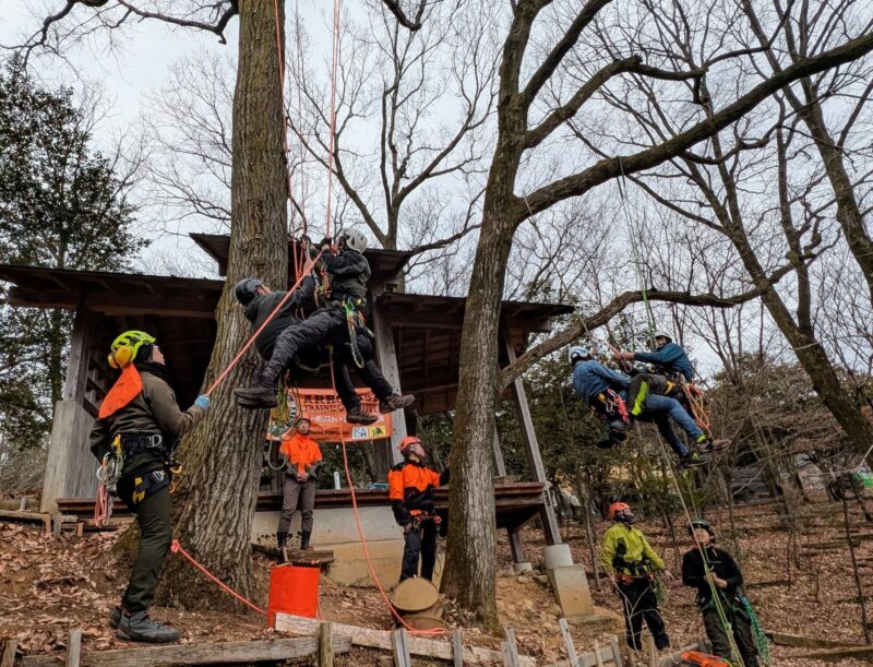 morinos連携講座『Tree Aerial Rescue and Safety Level -1（TARS-1)』 – モリノス